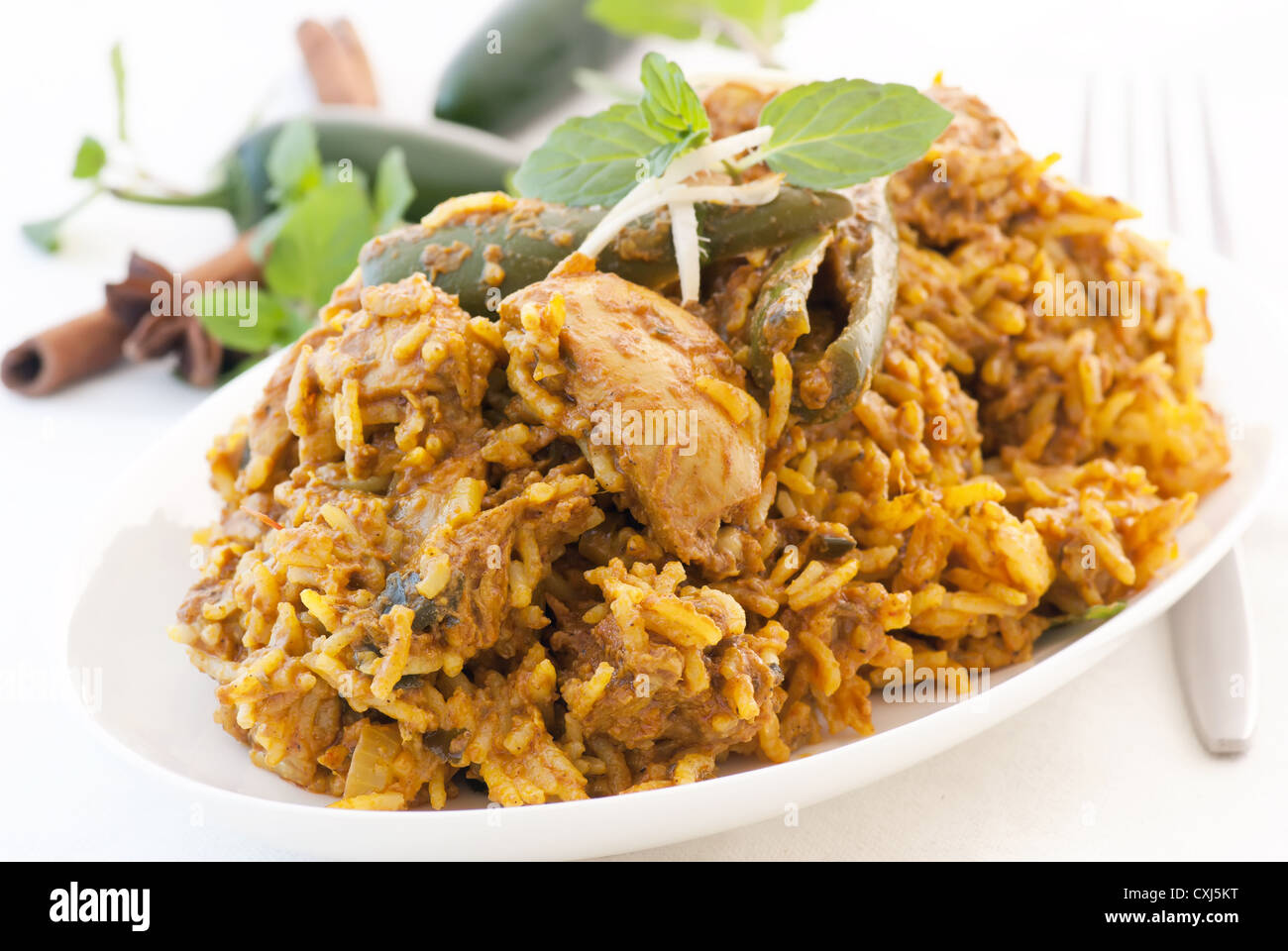 Traditional Indian Biryani as closeup on a white plate Stock Photo - Alamy
