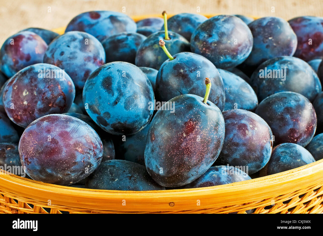 Prune damson hi-res stock photography and images - Alamy