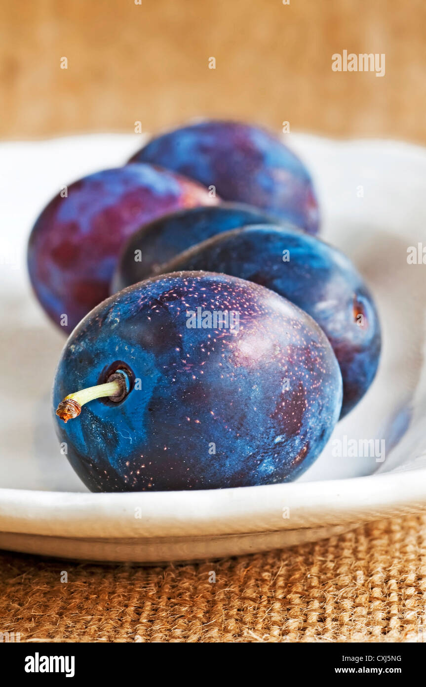 Ripe italian blue plums hi-res stock photography and images - Alamy
