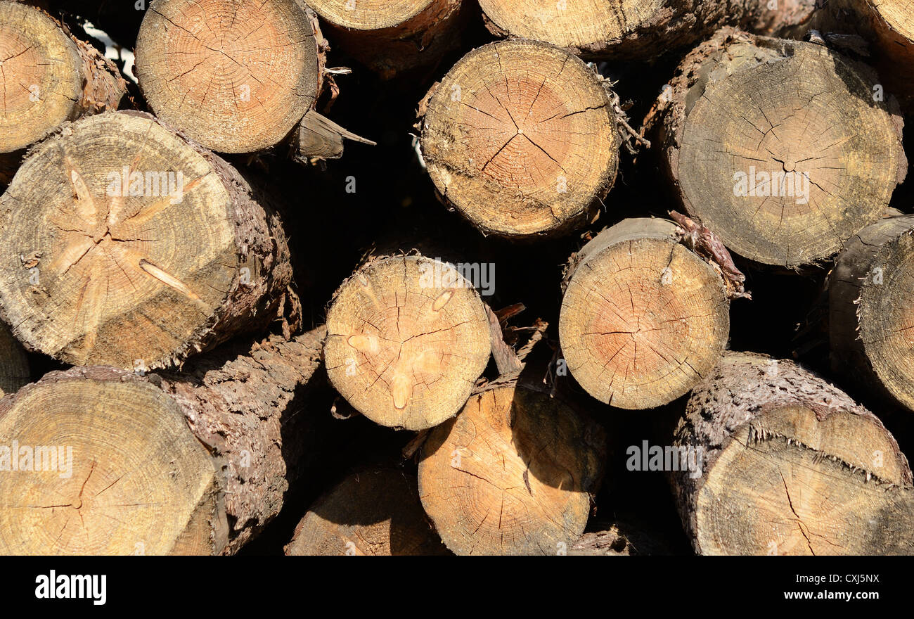 chopped log background Stock Photo - Alamy