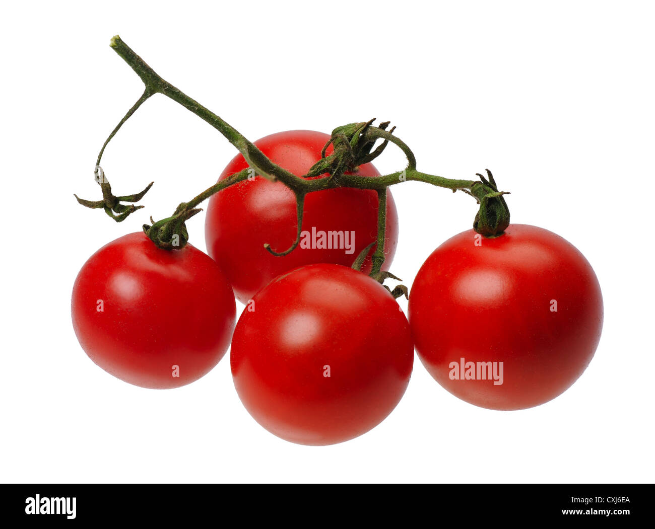 Red tomatto, isolated Stock Photo - Alamy