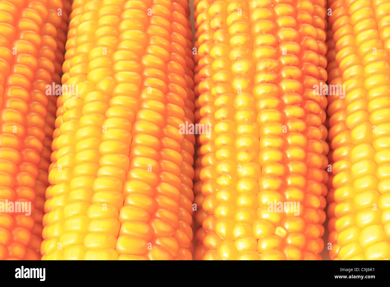 Fodder feed corn not dent hi-res stock photography and images - Alamy