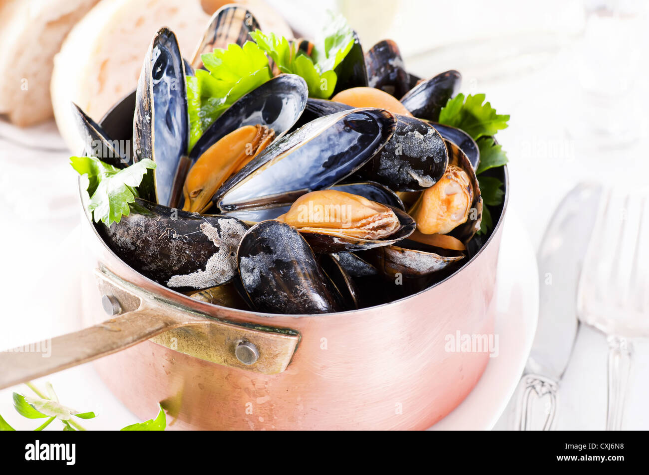 Horse mussel hi-res stock photography and images - Alamy