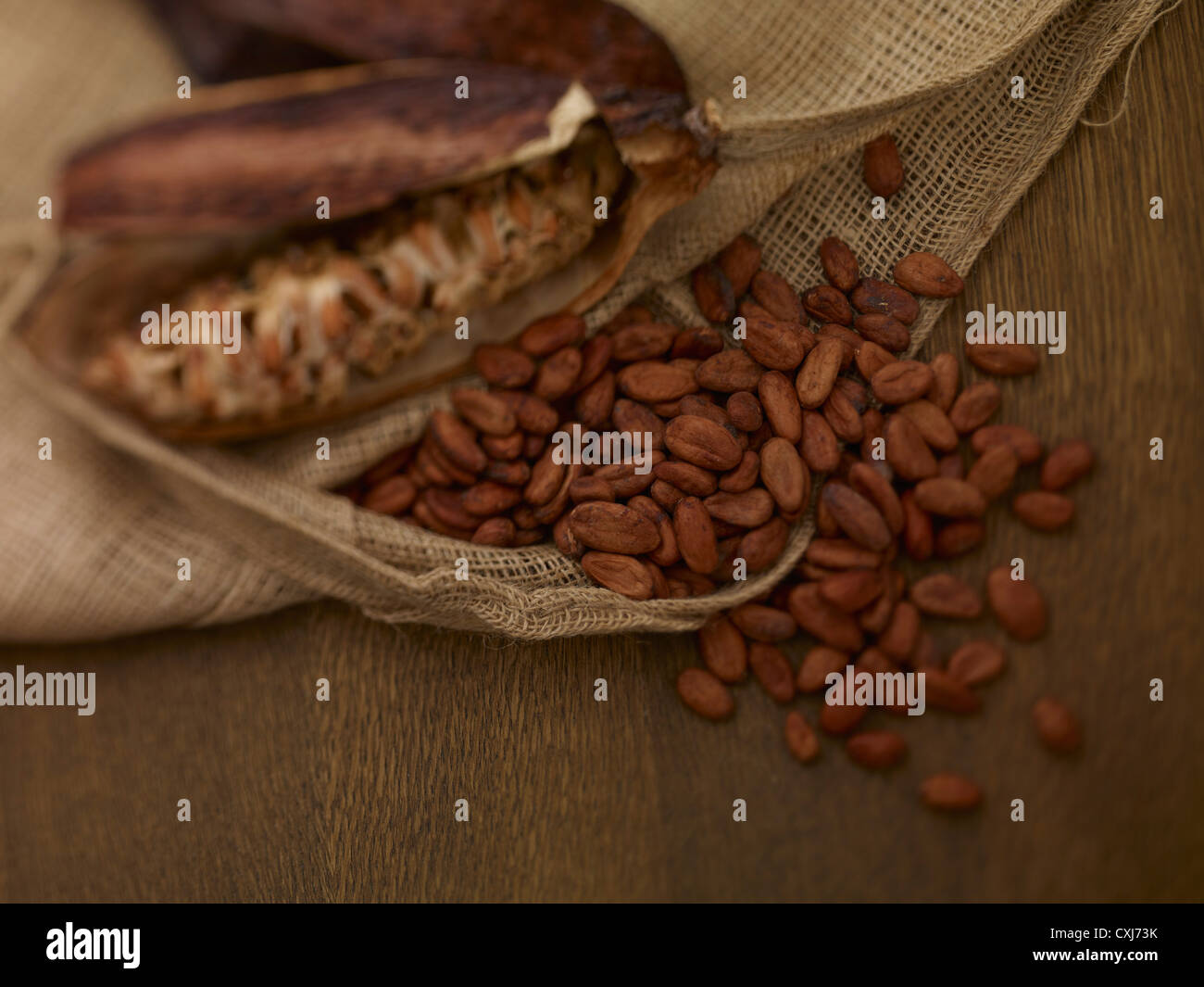 Large cacao beans hi-res stock photography and images - Alamy
