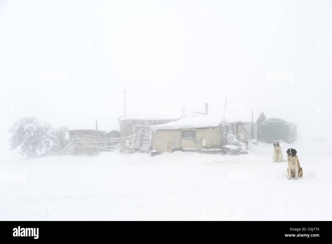 Lonely building hi-res stock photography and images - Alamy