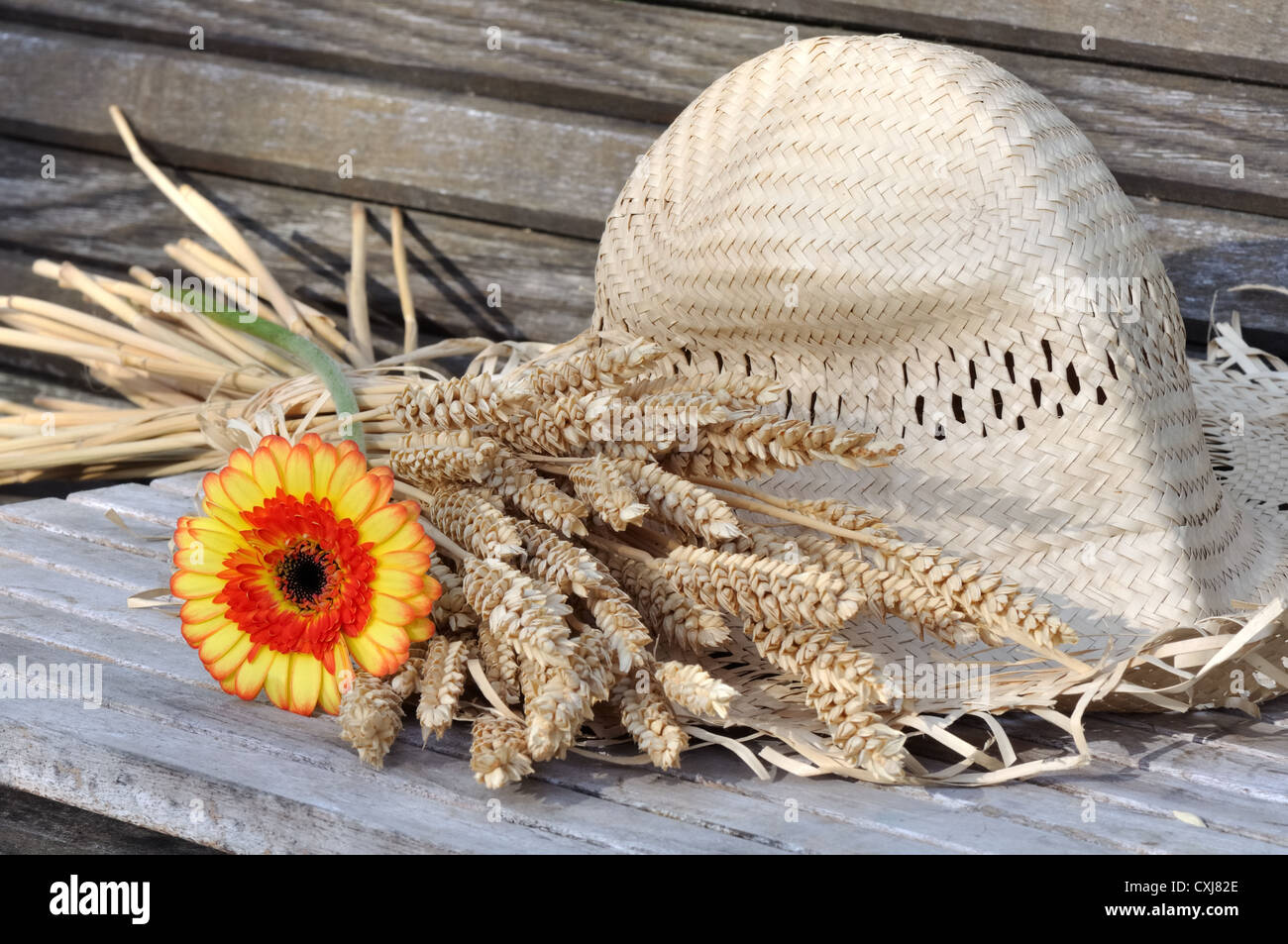 Wheat flower hi-res stock photography and images - Alamy