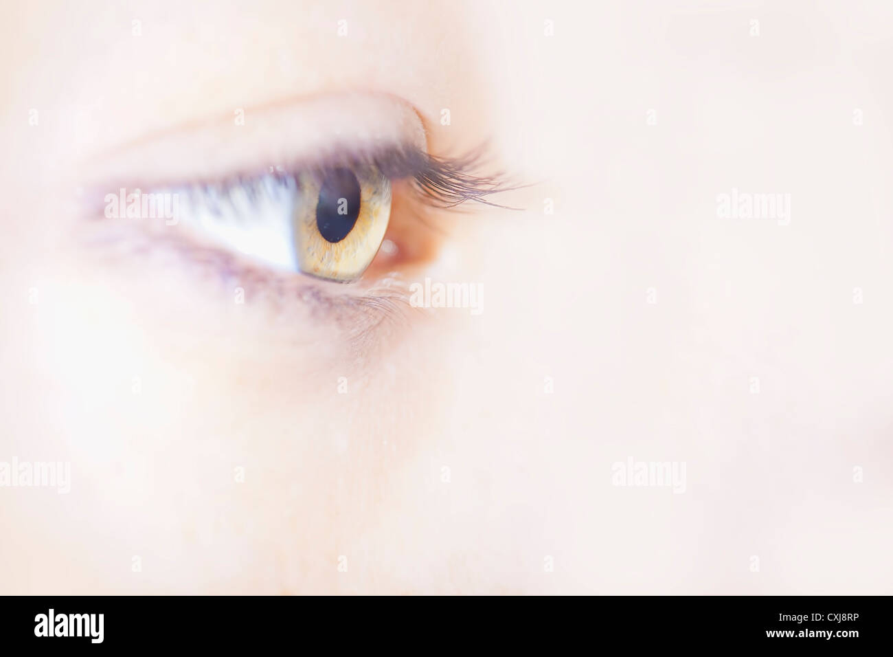 Human eye, close up Stock Photo - Alamy