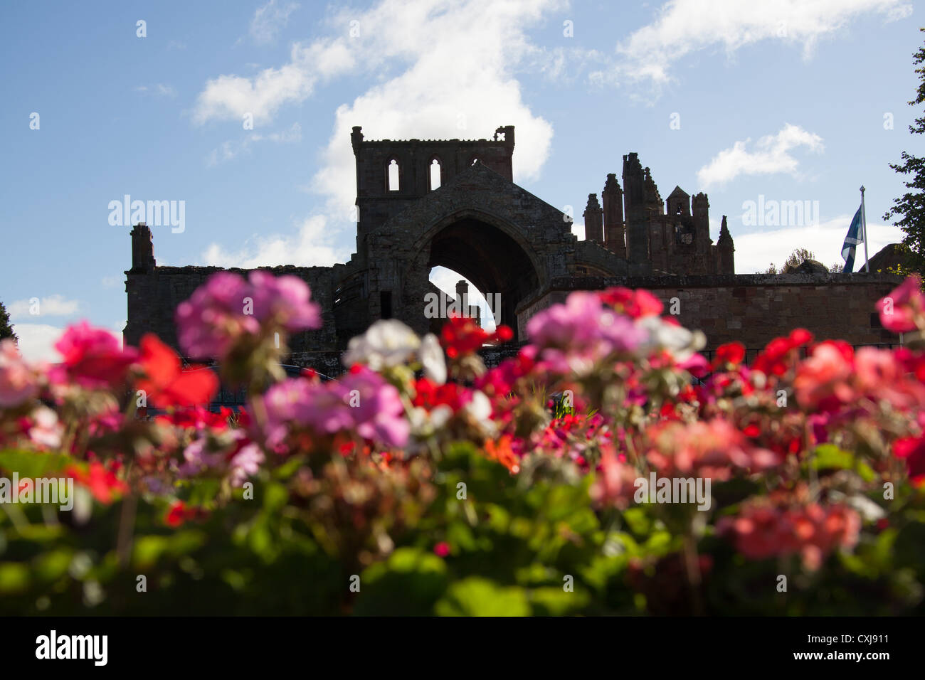 Town of Melrose, Scotland. Picturesque view of the Abbey Garden in full ...