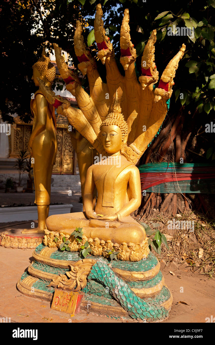 Laos temple statue gold buddha hi-res stock photography and images - Alamy