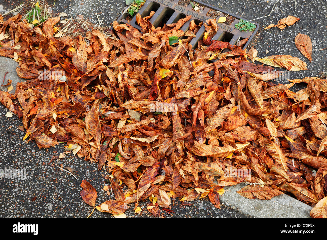 Drain gutter in the road hi-res stock photography and images - Alamy