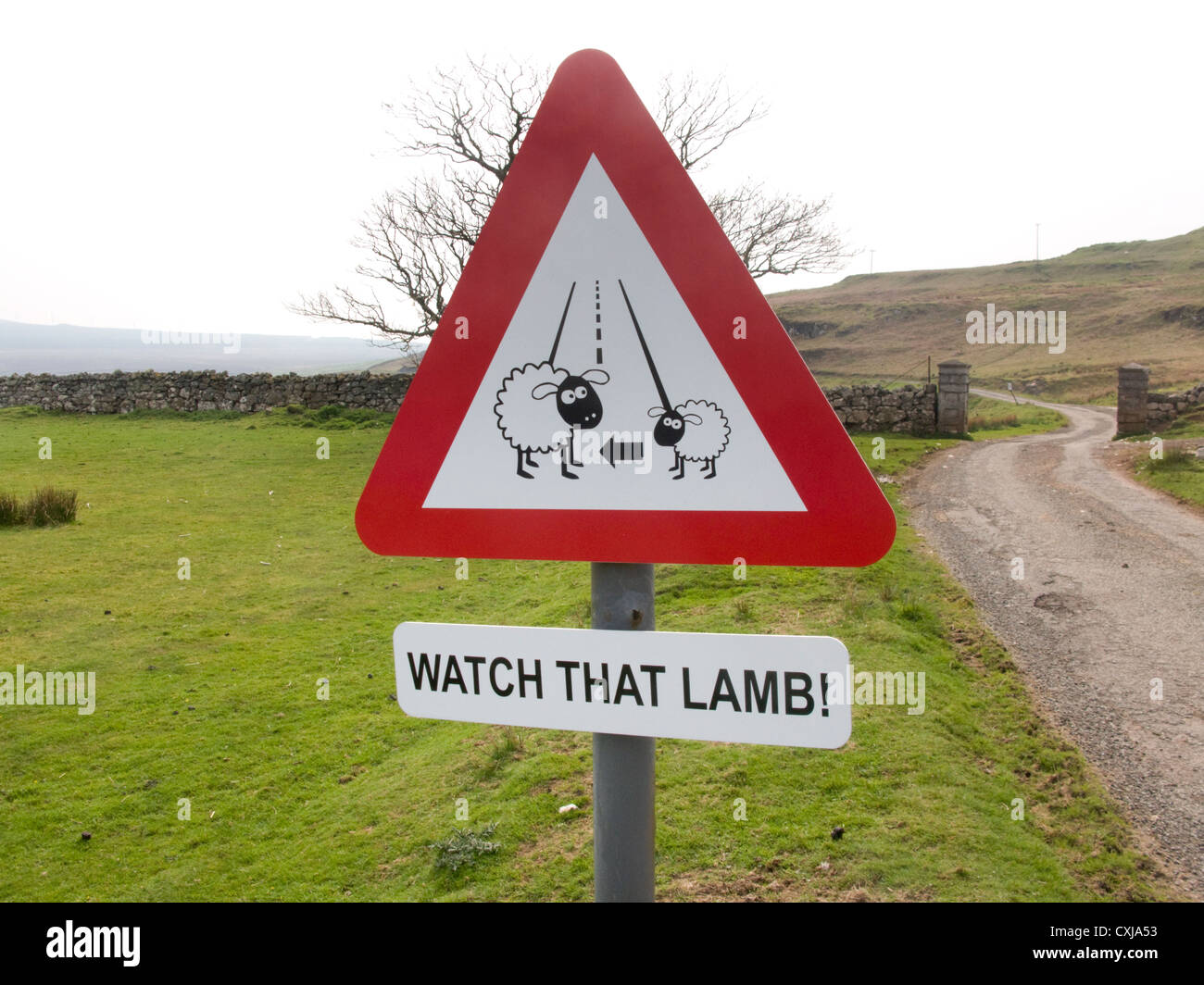 Watch that lamb comical road sign warning drivers of lambs on the road ...