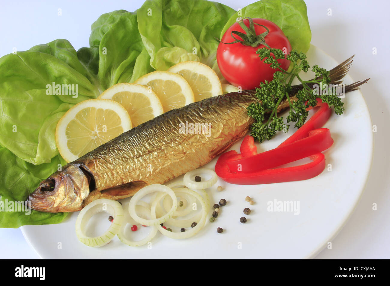 Fisch kopf bunt hi-res stock photography and images - Alamy