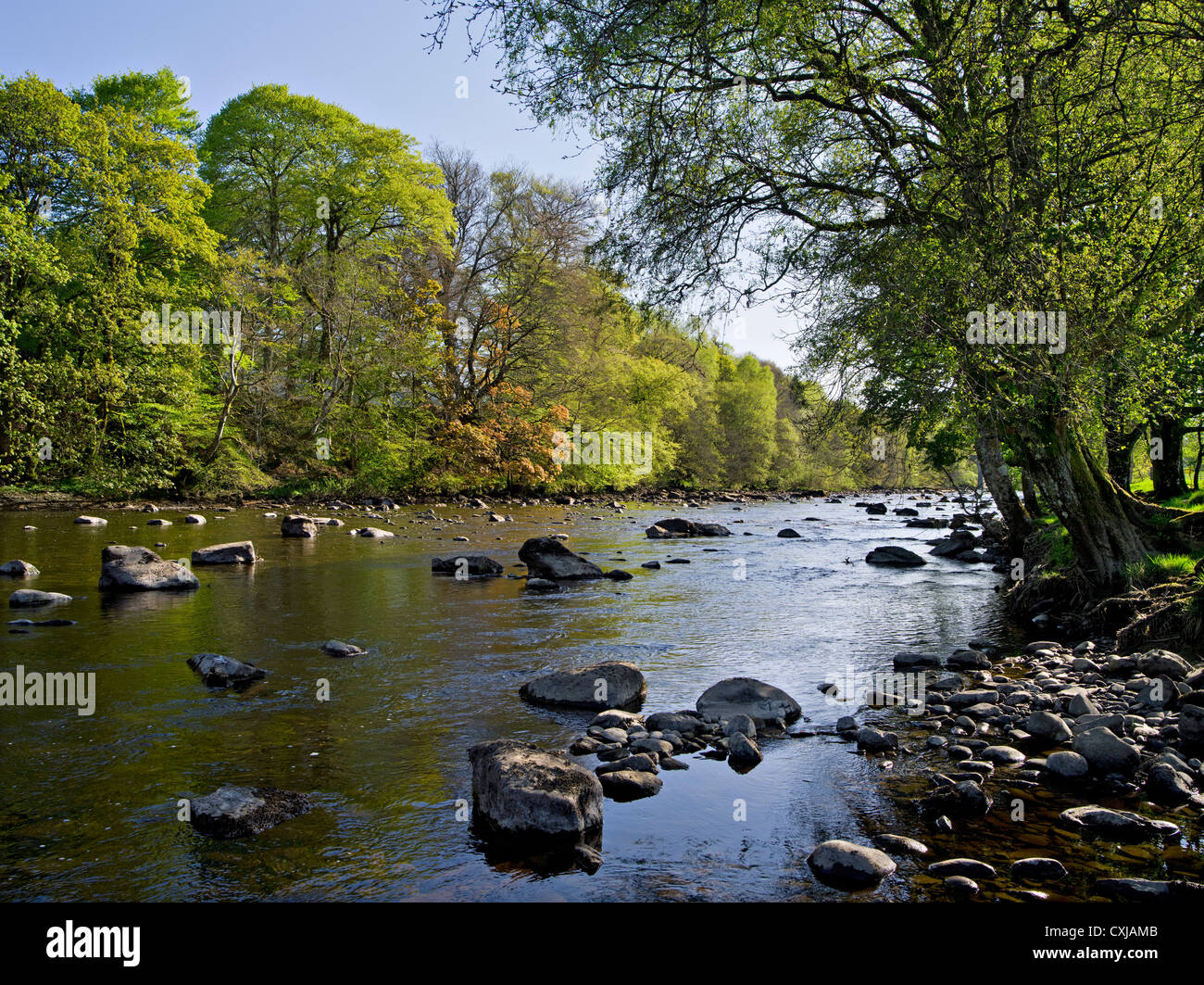 Scotland spring light hi-res stock photography and images - Alamy