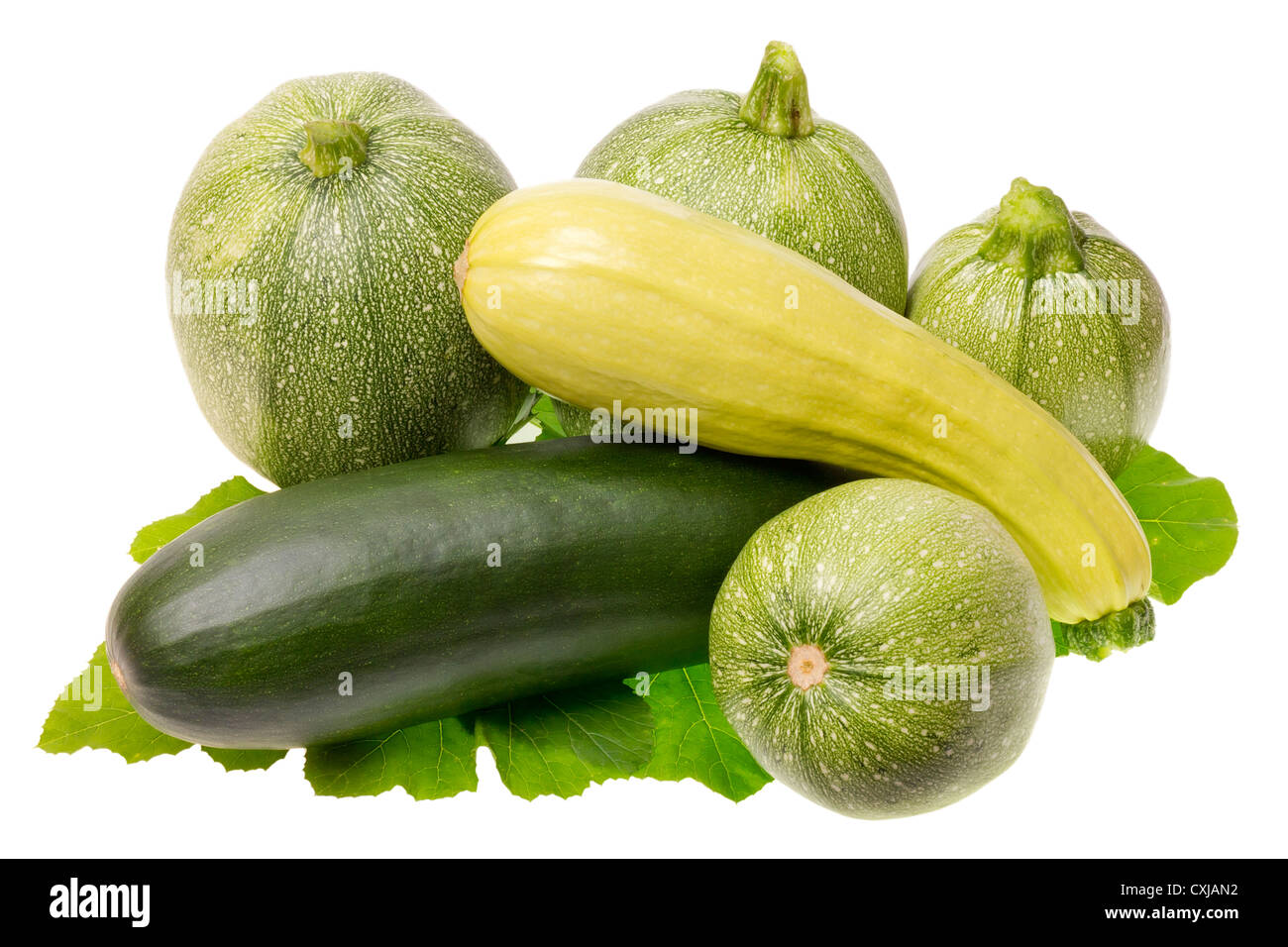 The ripe green pumpkins and vegetable marrows for Halloween with leaves ...