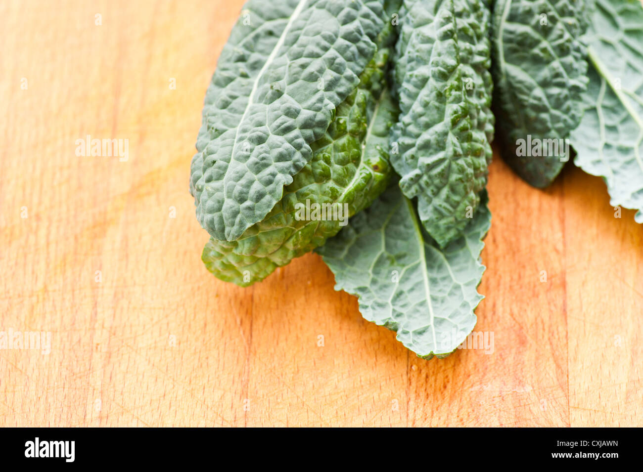 Colewort leaves hi-res stock photography and images - Alamy