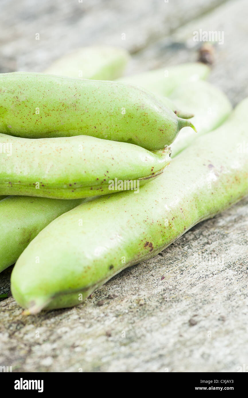 Closeup of raw broad beans Stock Photo - Alamy