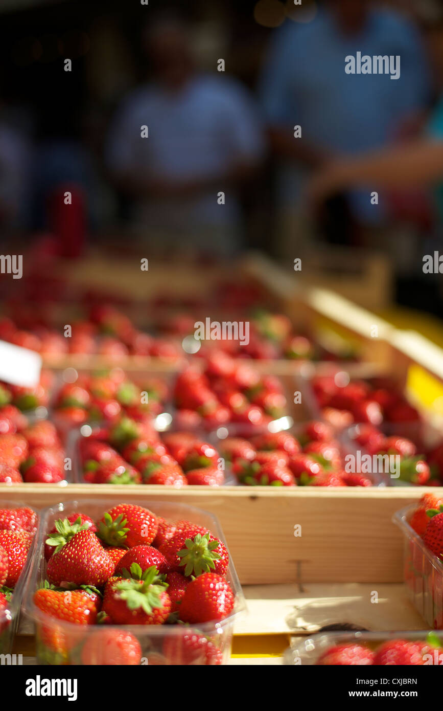 Punnets of strawberries fraise on sale in a street market in Domme ...