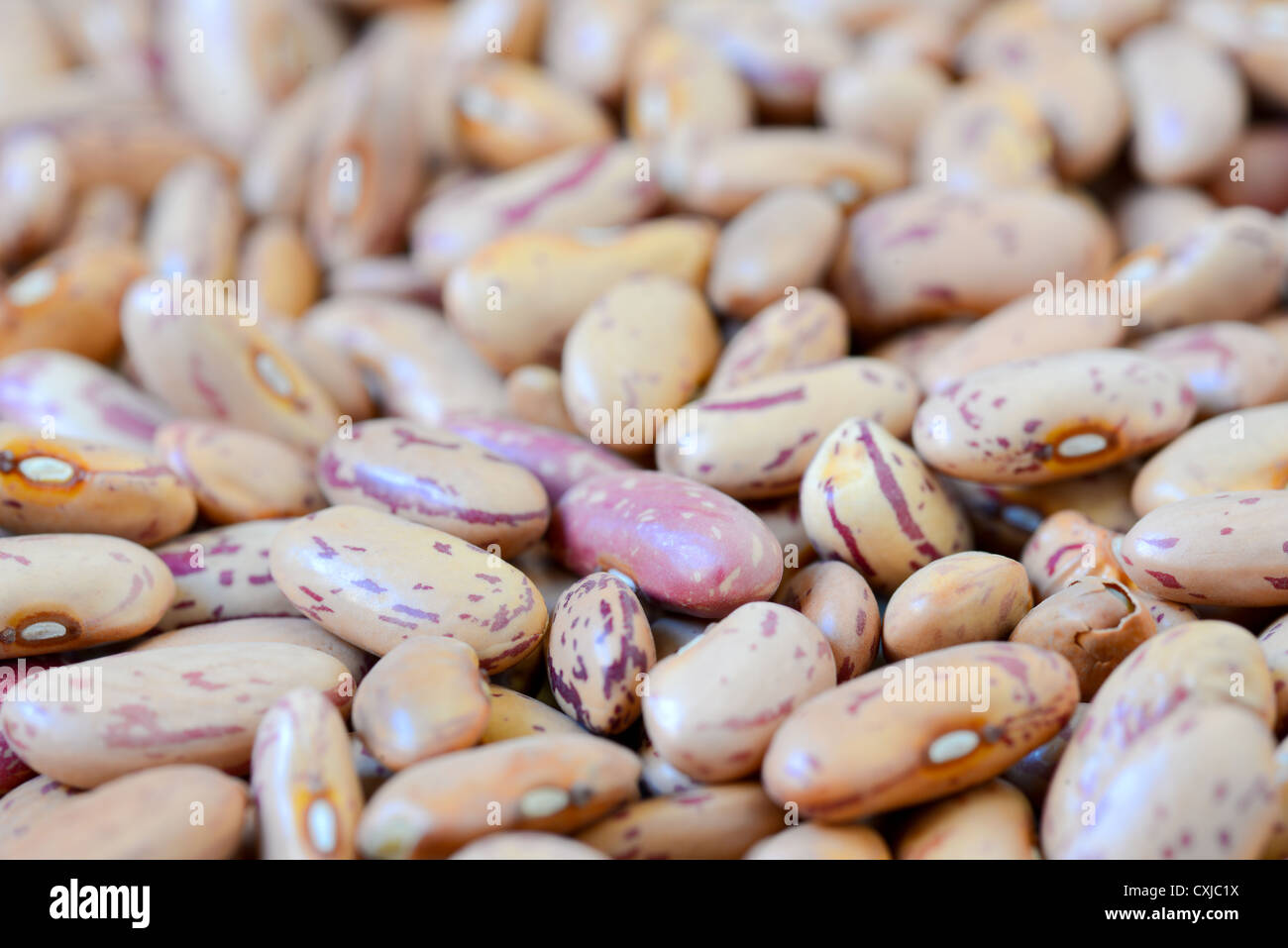 White dry beans on hi-res stock photography and images - Alamy