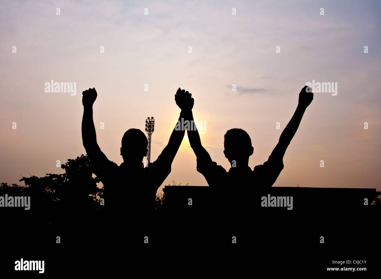 silhouette of man happy and victory in stadium Stock Photo - Alamy