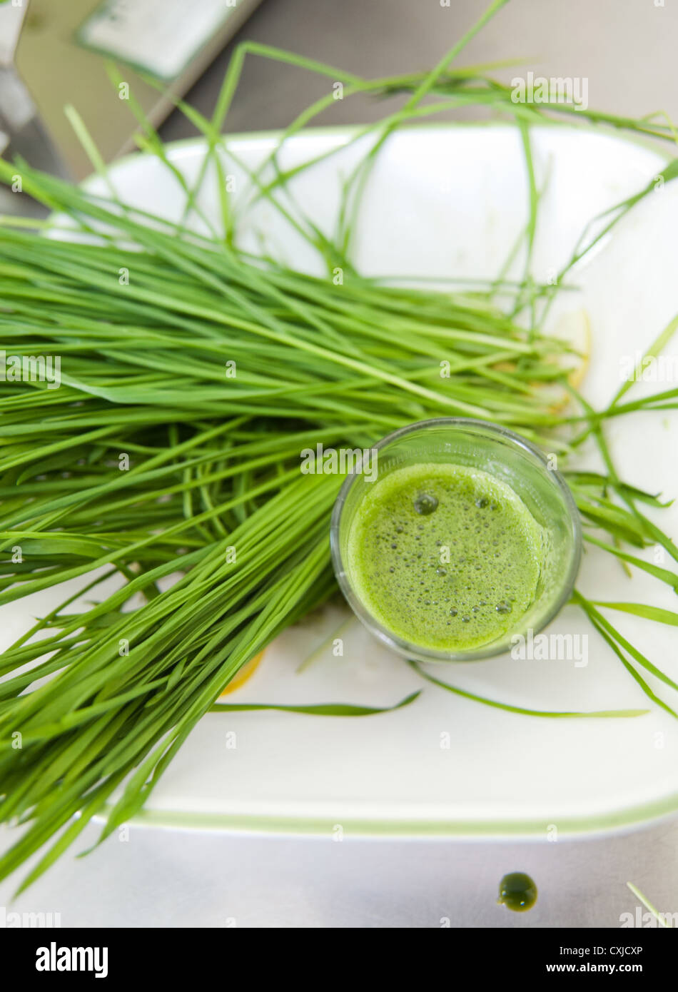 Wheat Grass sprouts and Wheatgrass drink Stock Photo - Alamy