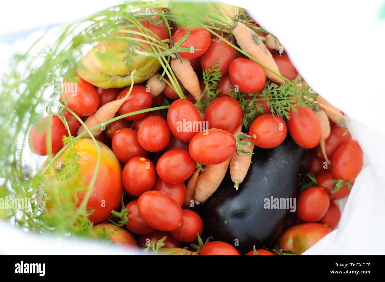 Vegetable types hi-res stock photography and images - Alamy