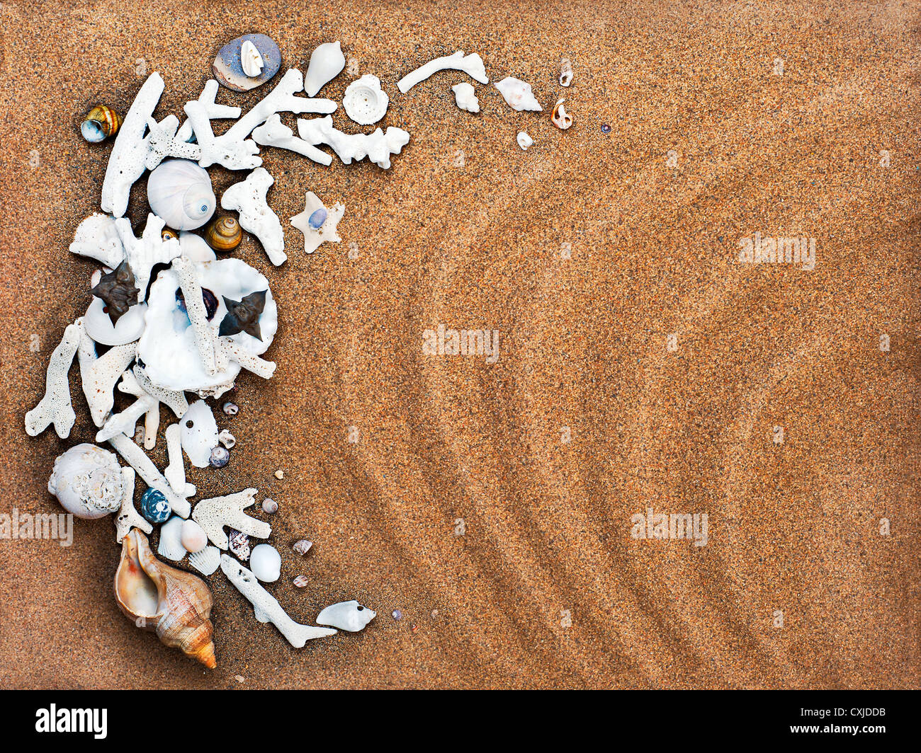 summer composition - sea shells with sand as background Stock Photo - Alamy