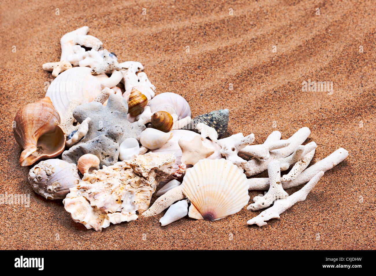 summer composition - sea shells with sand as background Stock Photo - Alamy