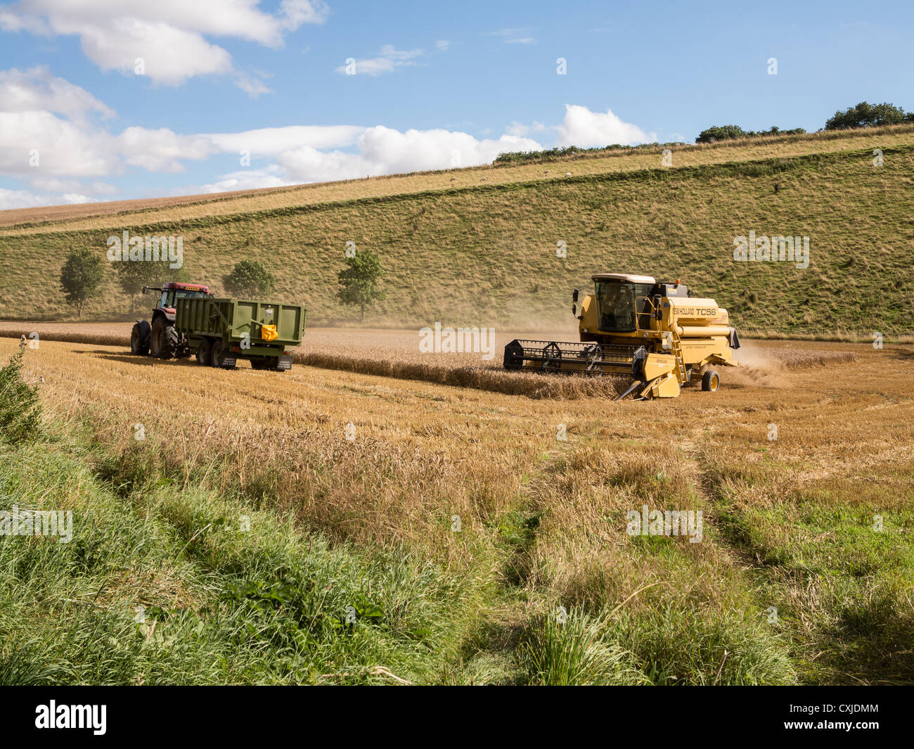 Combine harvesting wheat on Yorkshire Wolds UK Stock Photo - Alamy