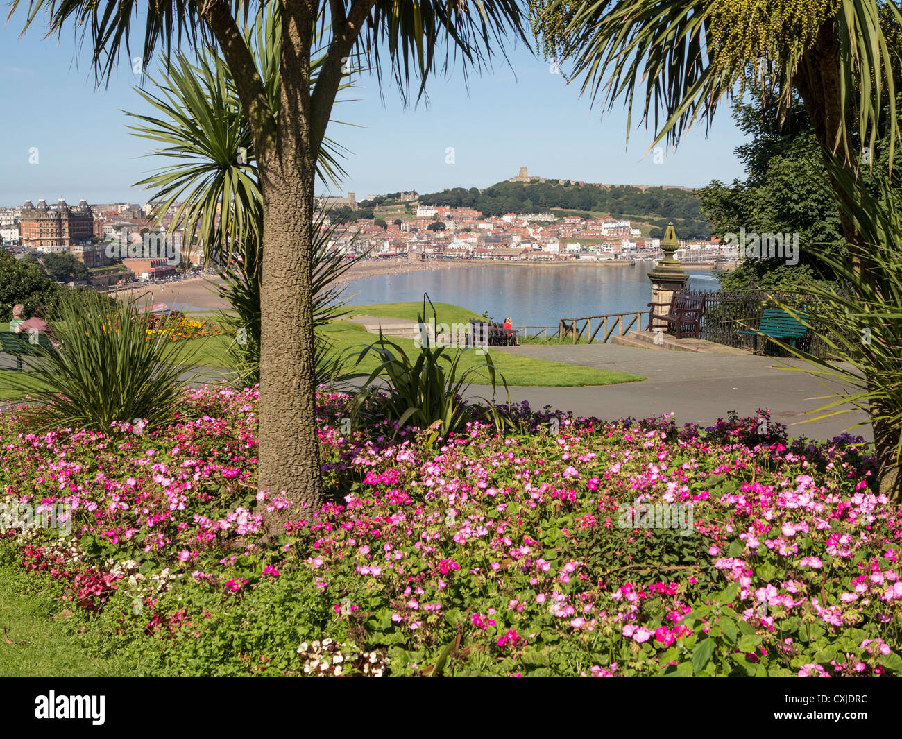 Scarborough castle flowers hi-res stock photography and images - Alamy