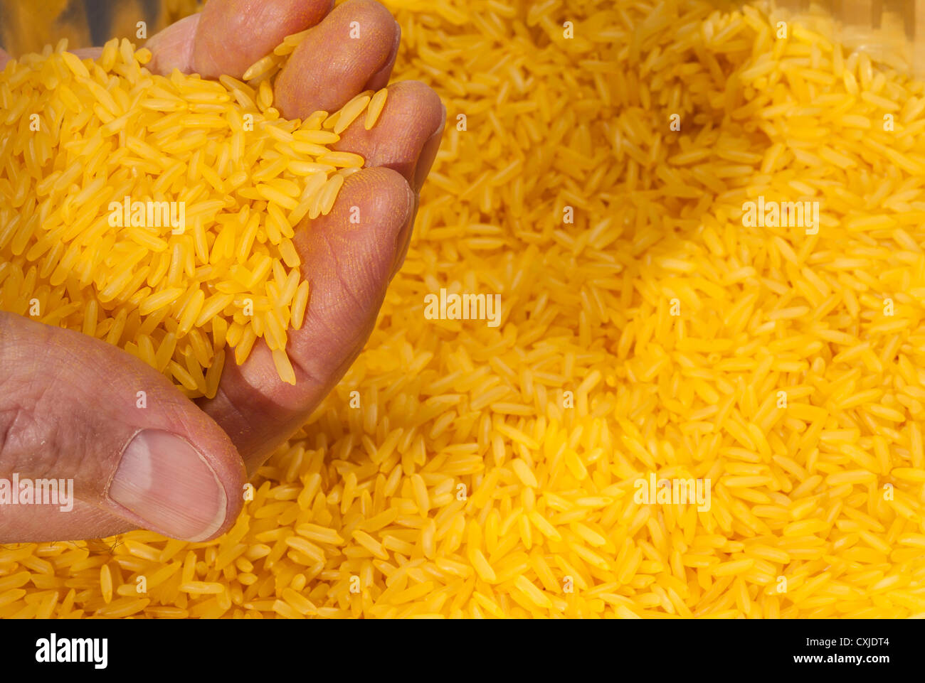 Hand Holding Uncooked Saffron Rice Grains Stock Photo - Alamy