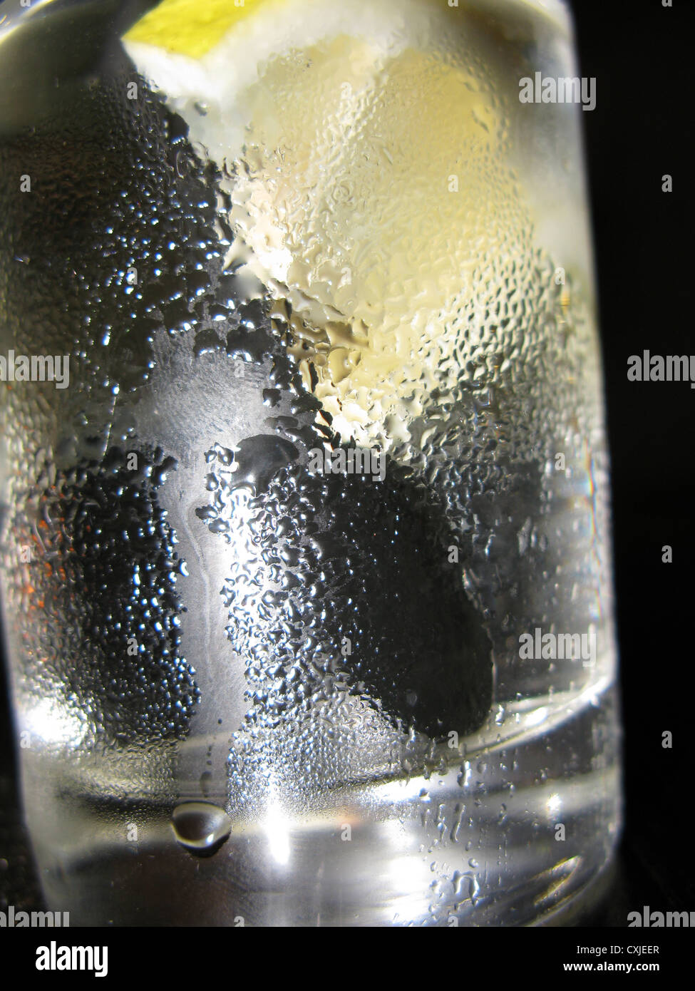 Frosted glass of Gin and Tonic with cocktail stick ice and lemon Stock ...