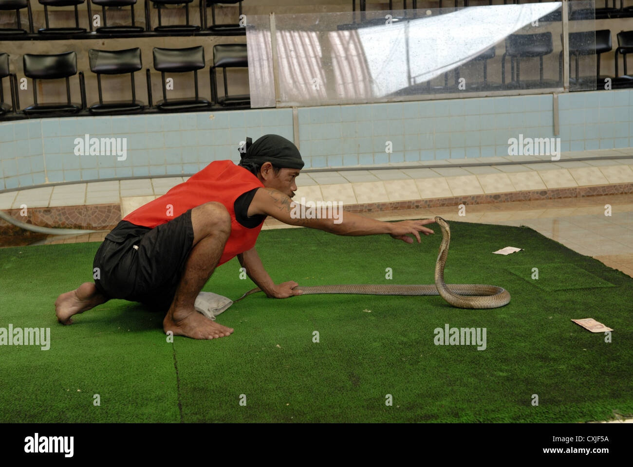 Snake Farm Thailand Stock Photo - Alamy