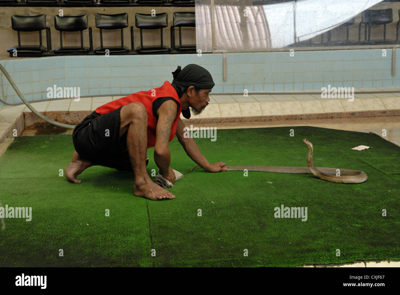 Snake Farm Thailand Stock Photo - Alamy