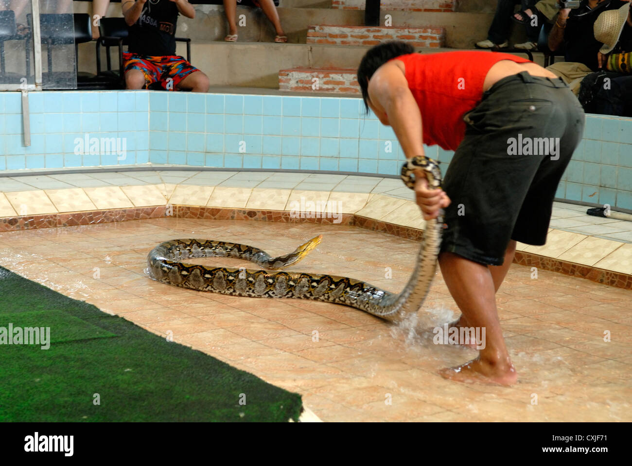 Snake Farm Thailand Stock Photo - Alamy