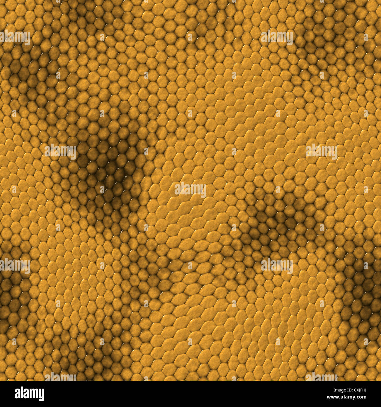 seamless snake texture. High detailed sufrace animals Stock Photo - Alamy