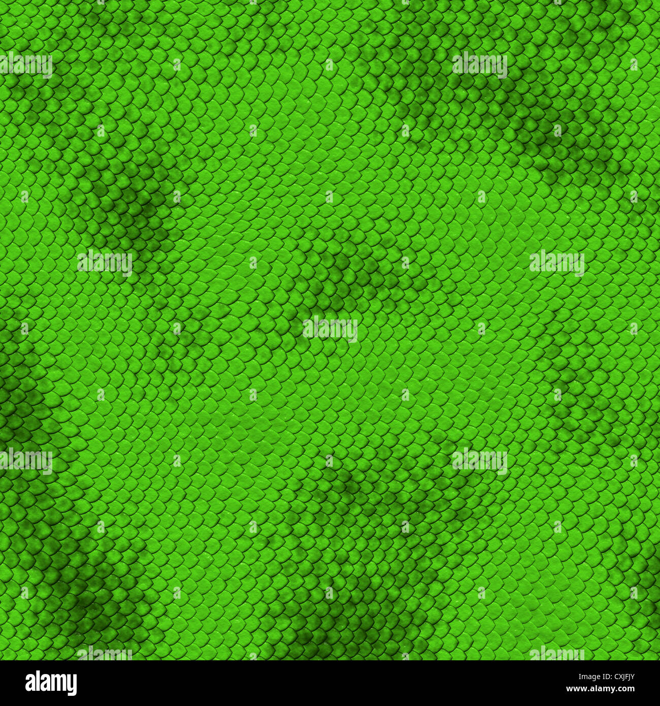 seamless snake texture. High detailed sufrace animals Stock Photo - Alamy