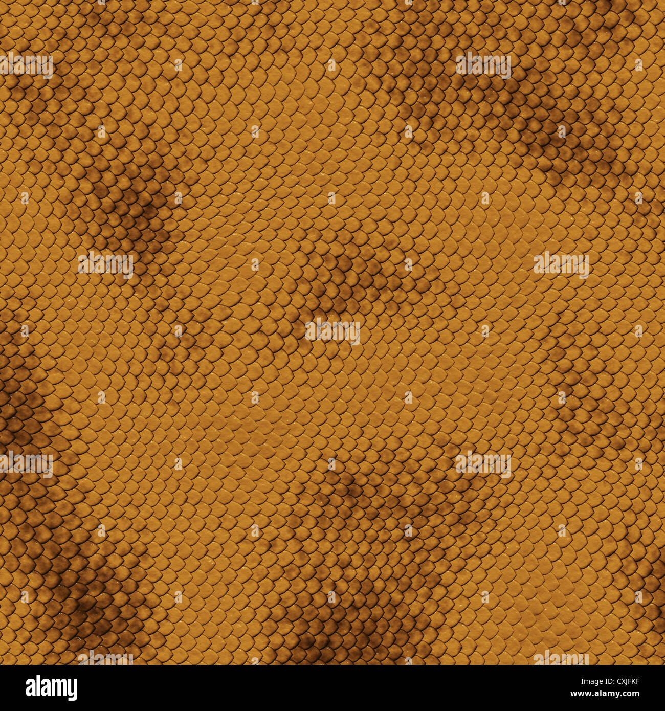seamless snake texture. High detailed sufrace animals Stock Photo - Alamy