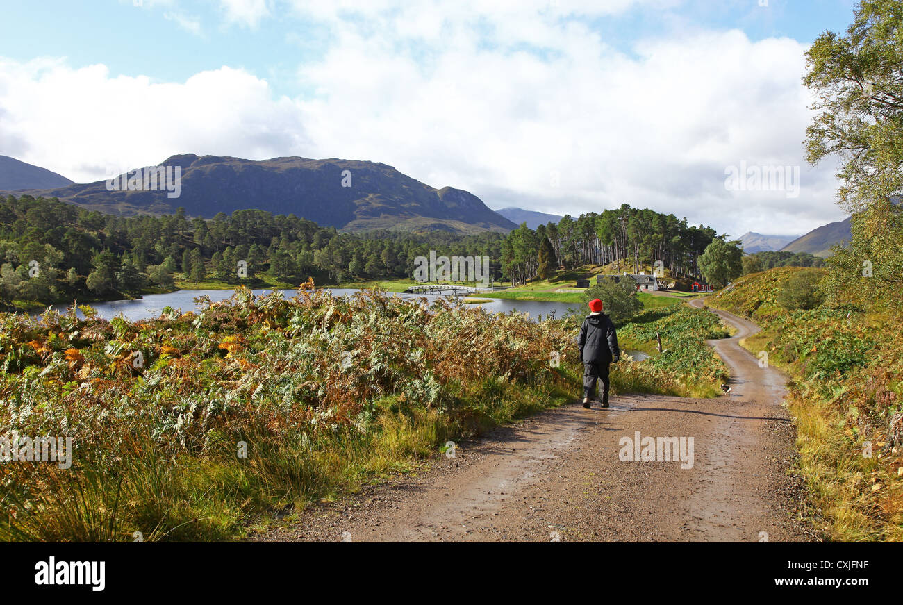 Looking towards Affric Lodge on Loch Affric Glen Affric Scottish ...