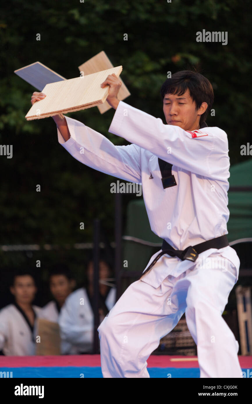 Tae Kwon Do Blocks