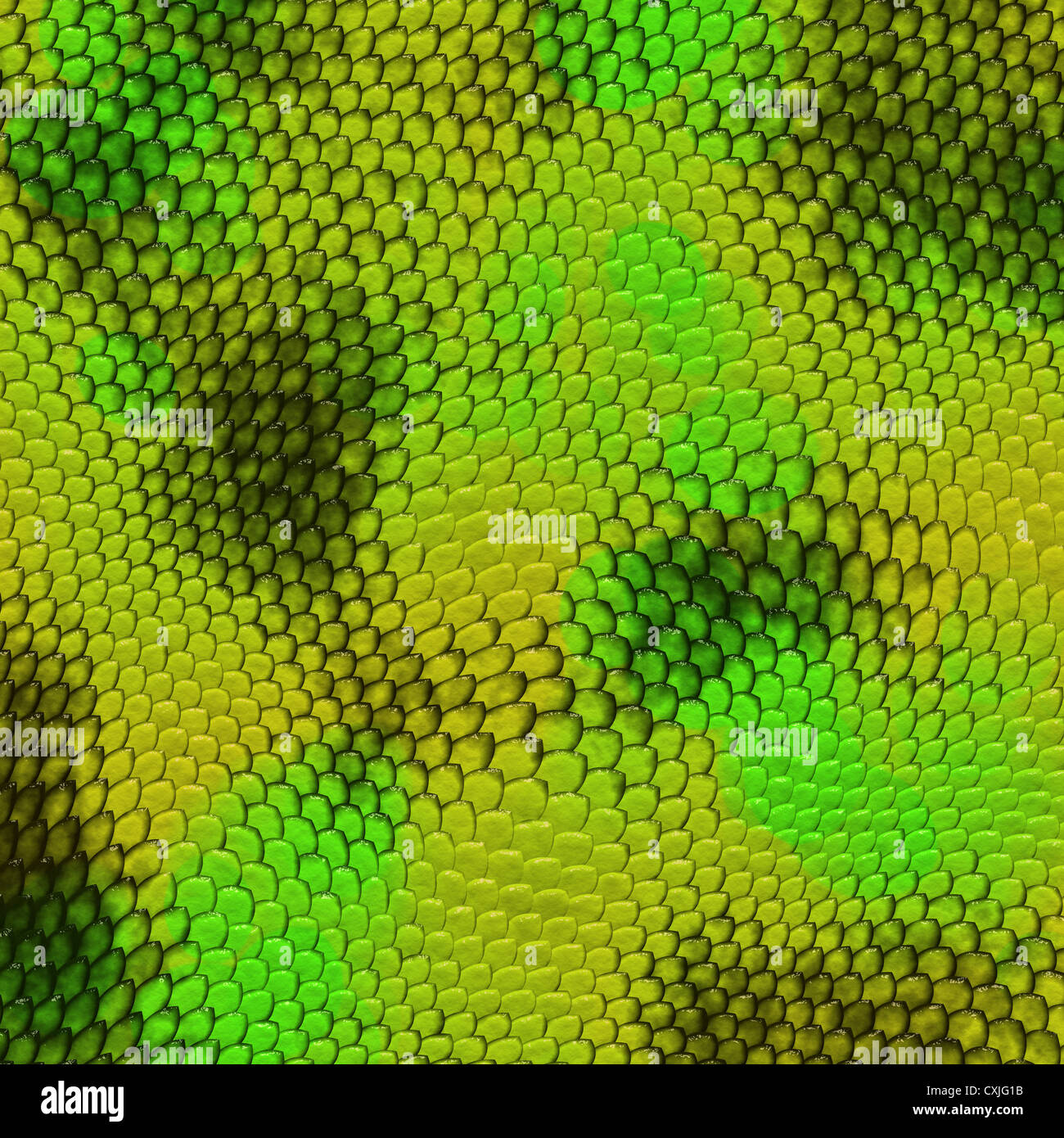 Detailed snake skin hi-res stock photography and images - Alamy