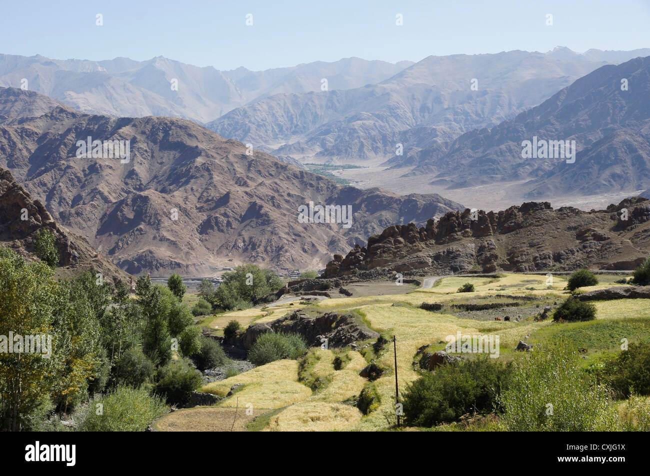 hemis, jammu and kashmir, india Stock Photo - Alamy