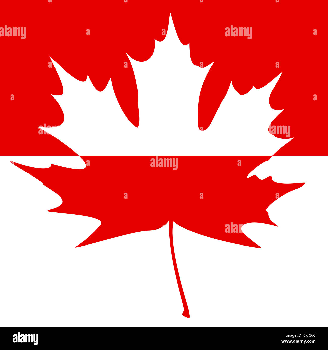 Half shaded carved maple leaf, subject of the Canadian flag. EPS10 ...