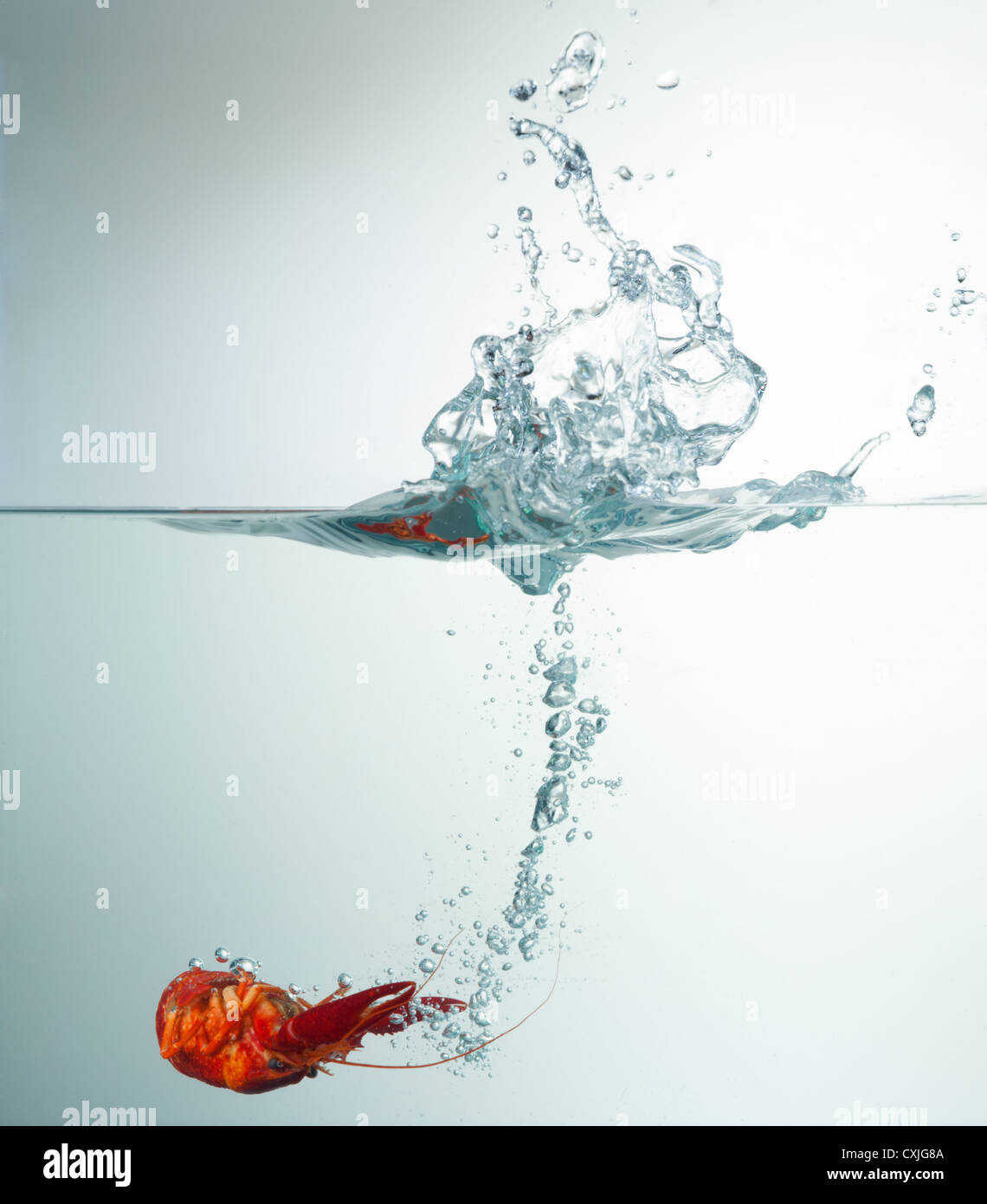 Ocean fish splash hi-res stock photography and images - Alamy