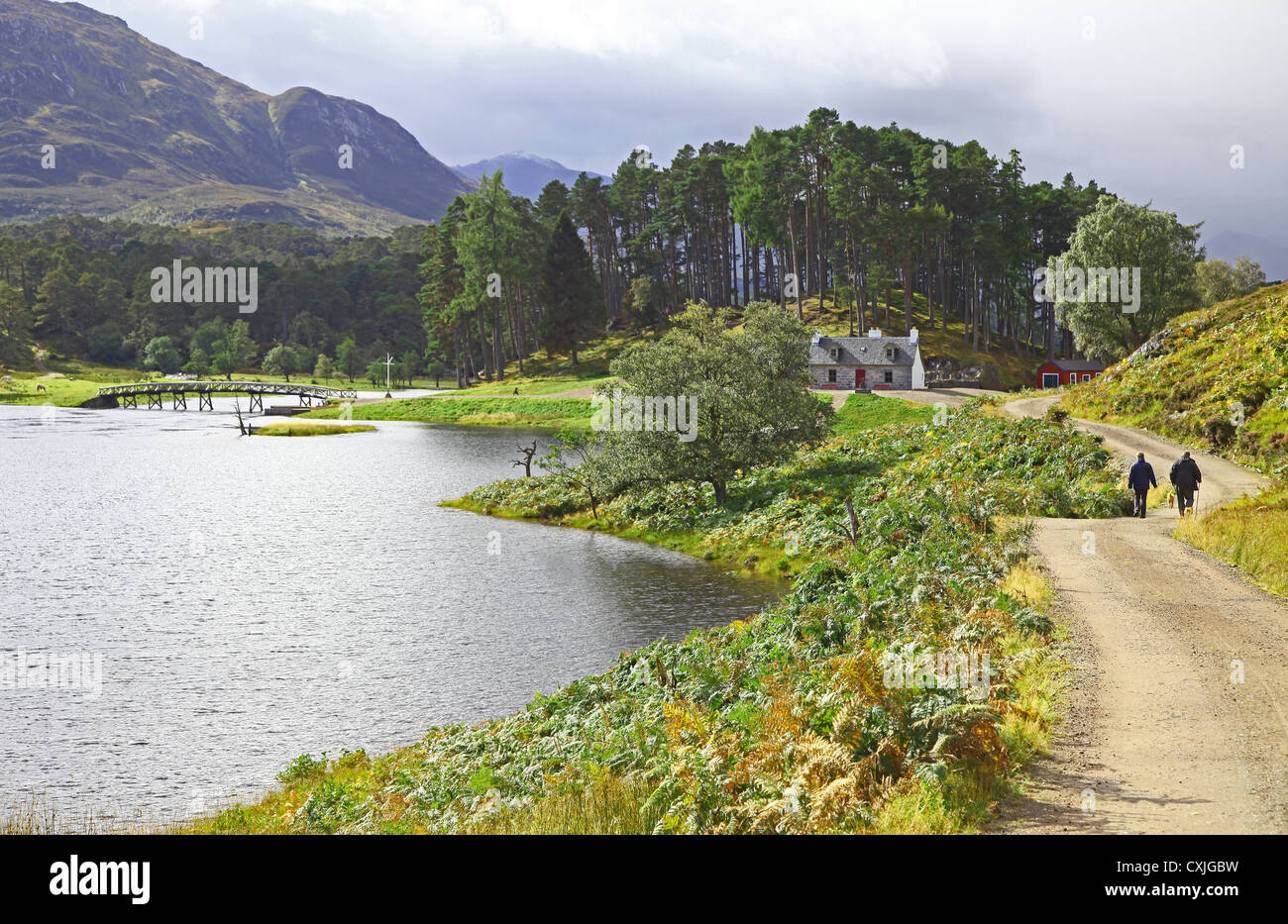 Looking towards Affric Lodge on Loch Affric Glen Affric Scottish ...