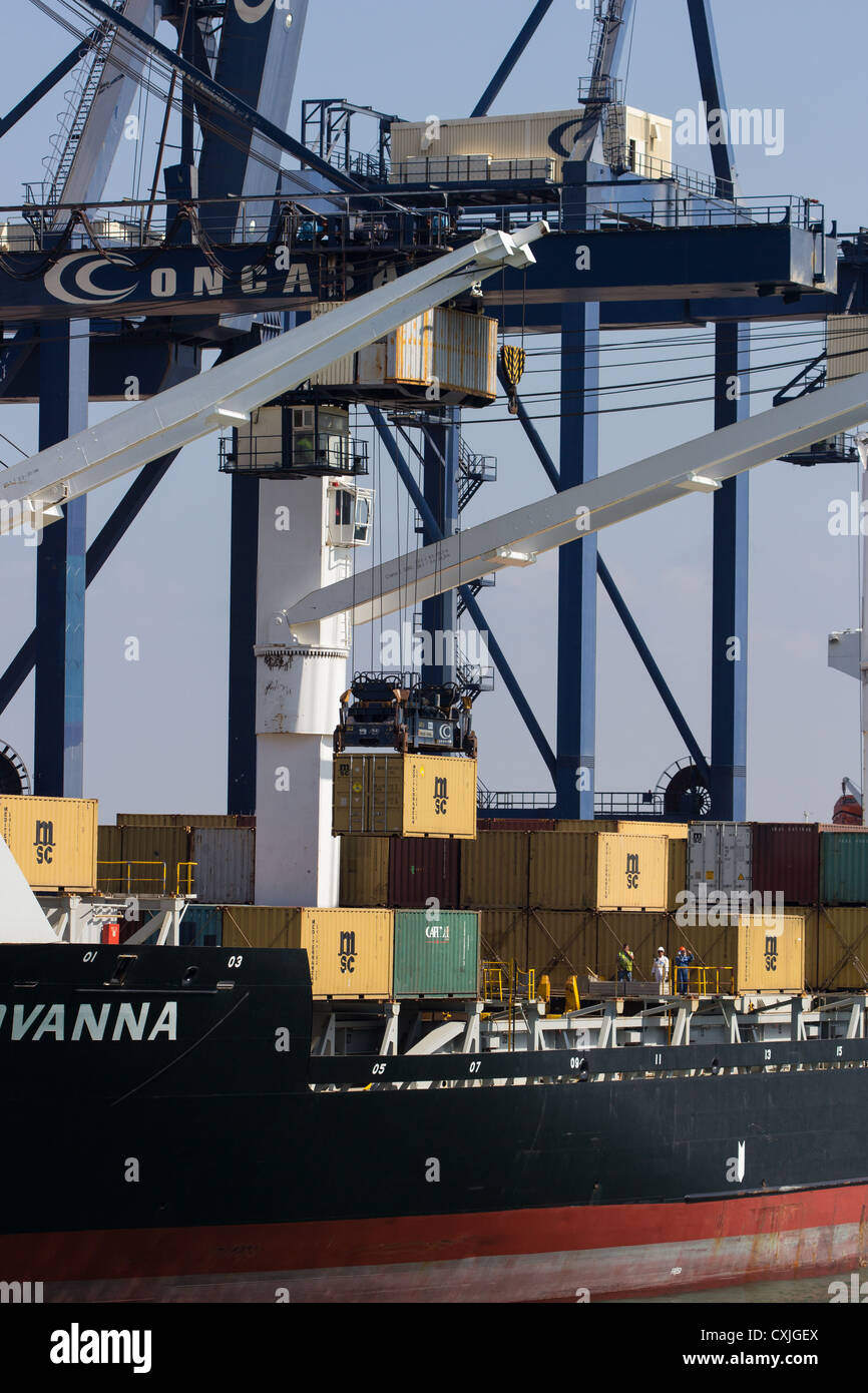Unloading containers from container cargo ship. Port of Cadiz Spain ...