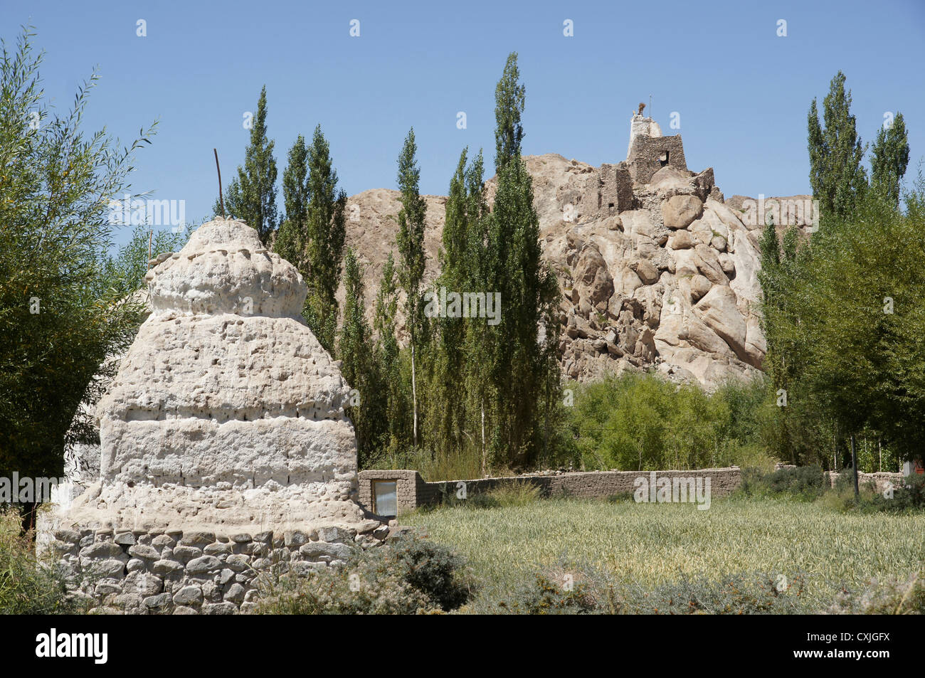 Religious monument monuments green tree trees oasis hi-res stock ...