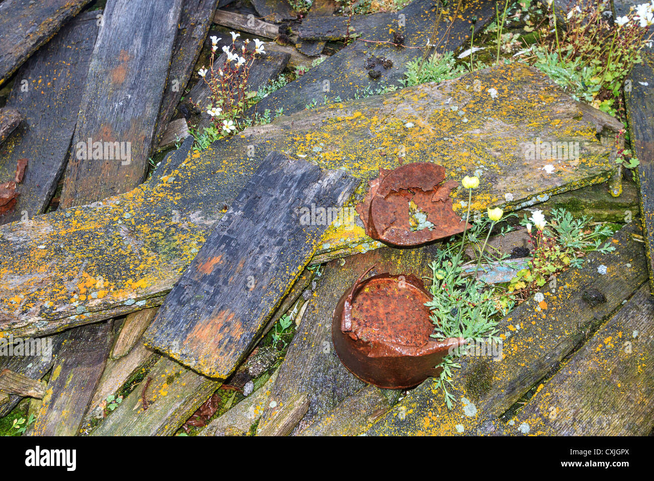 Remains of storehouse on Beechey Island in Canadian high arctic, built ...