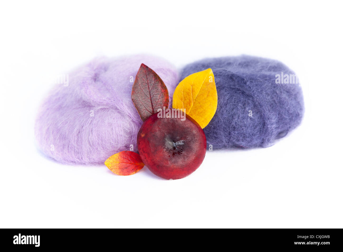 Mushroom with autumn leaves Cut Out Stock Images & Pictures - Alamy