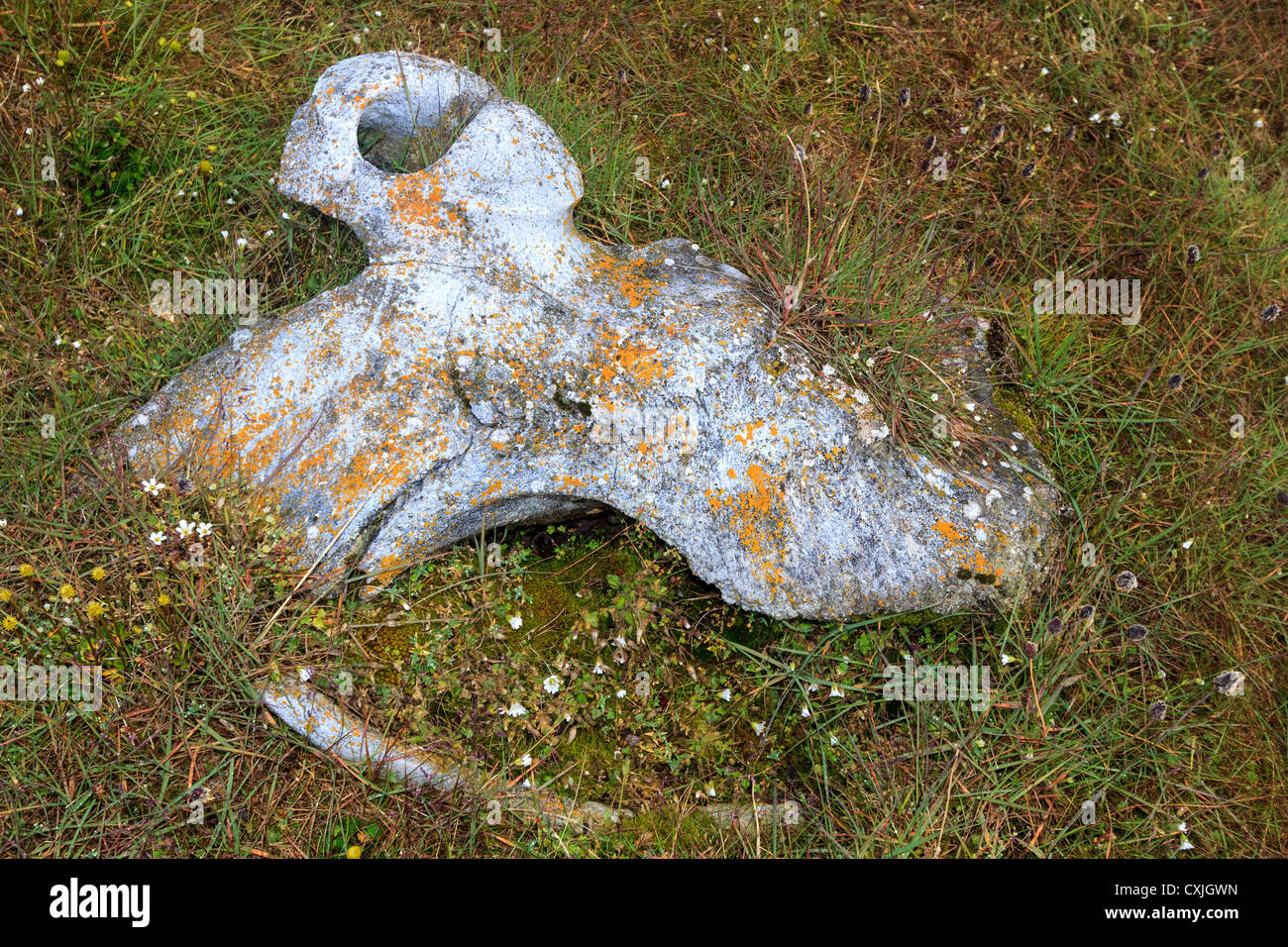 Whale bone sits on tundra moss on Devon Island with Dundas Harbour in ...