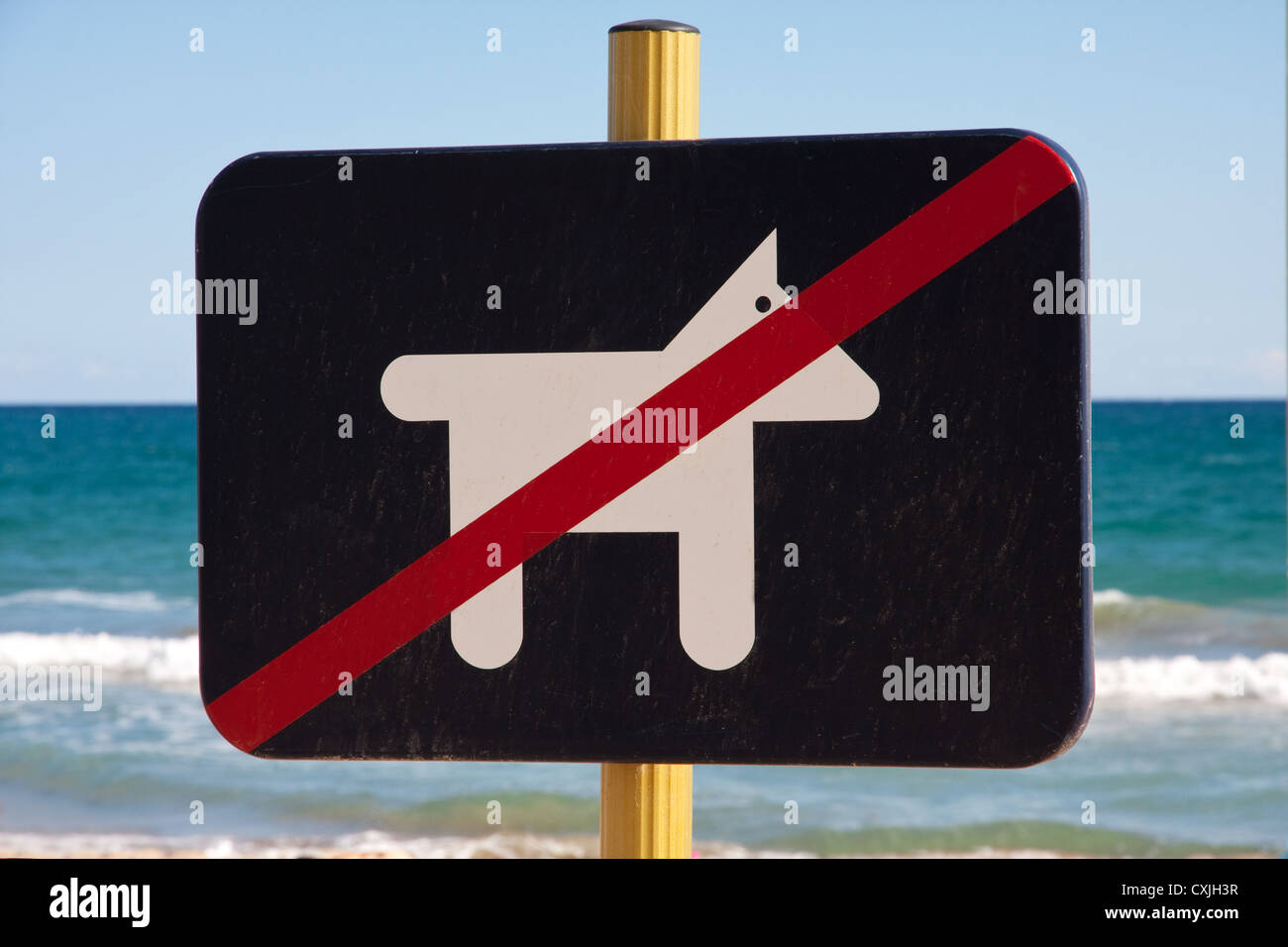 No Dogs sign on beach Stock Photo - Alamy